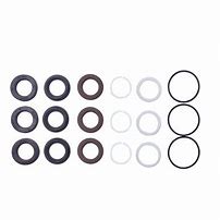 Oil Seal Kit for RW Comet Pump aka 5647 – MPWSR